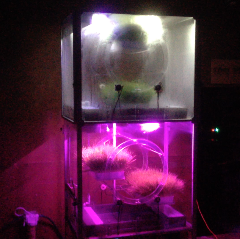 BeagleBone Black project spotlight: GrowCubes - BeagleBoard